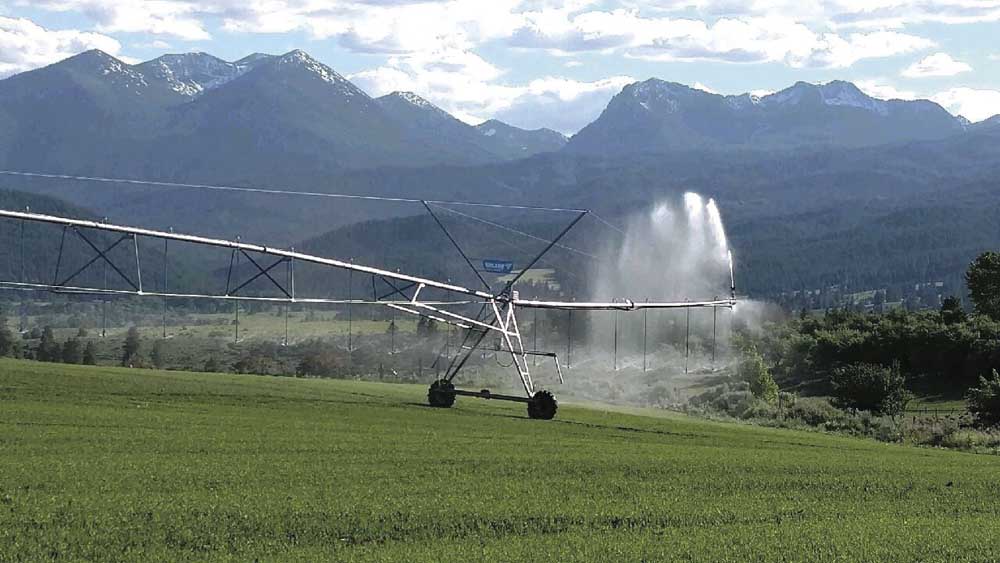 Snowpack, damp spring douse the drought in Baker County | Go Eastern Oregon