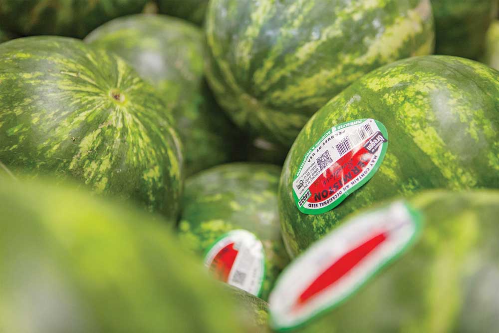 Irrigon Watermelon Festival ignites 40th year with fireworks | Go ...